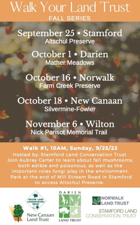 Fall Walk Series: Norwalk Land Trust Walk at Farm Creek Preserve - New ...