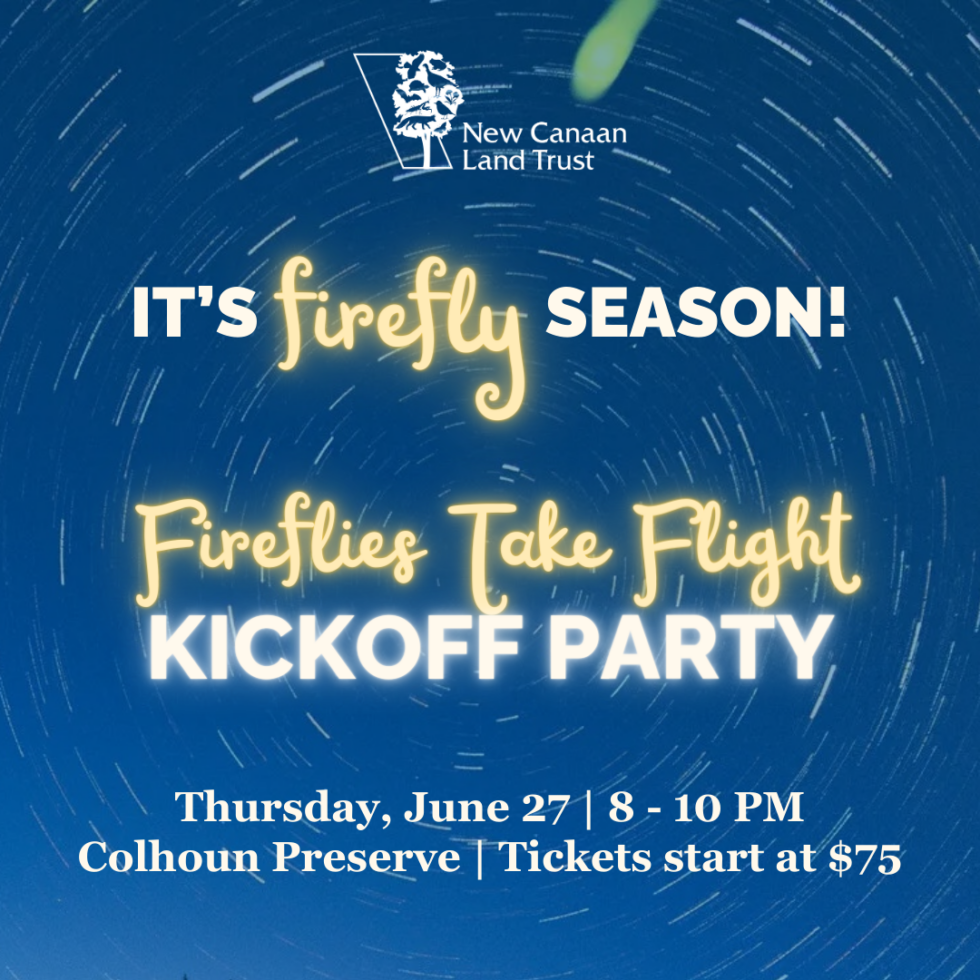 Fireflies Take Flight: The 2024 Firefly Season Kickoff Event - New ...